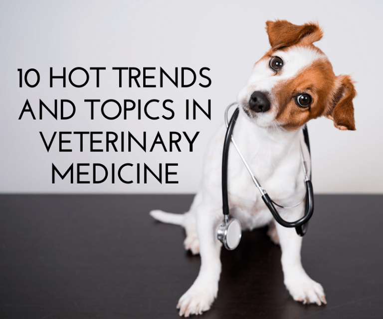 10 Hot Trends and Topics in Veterinary Medicine | Options For Animals
